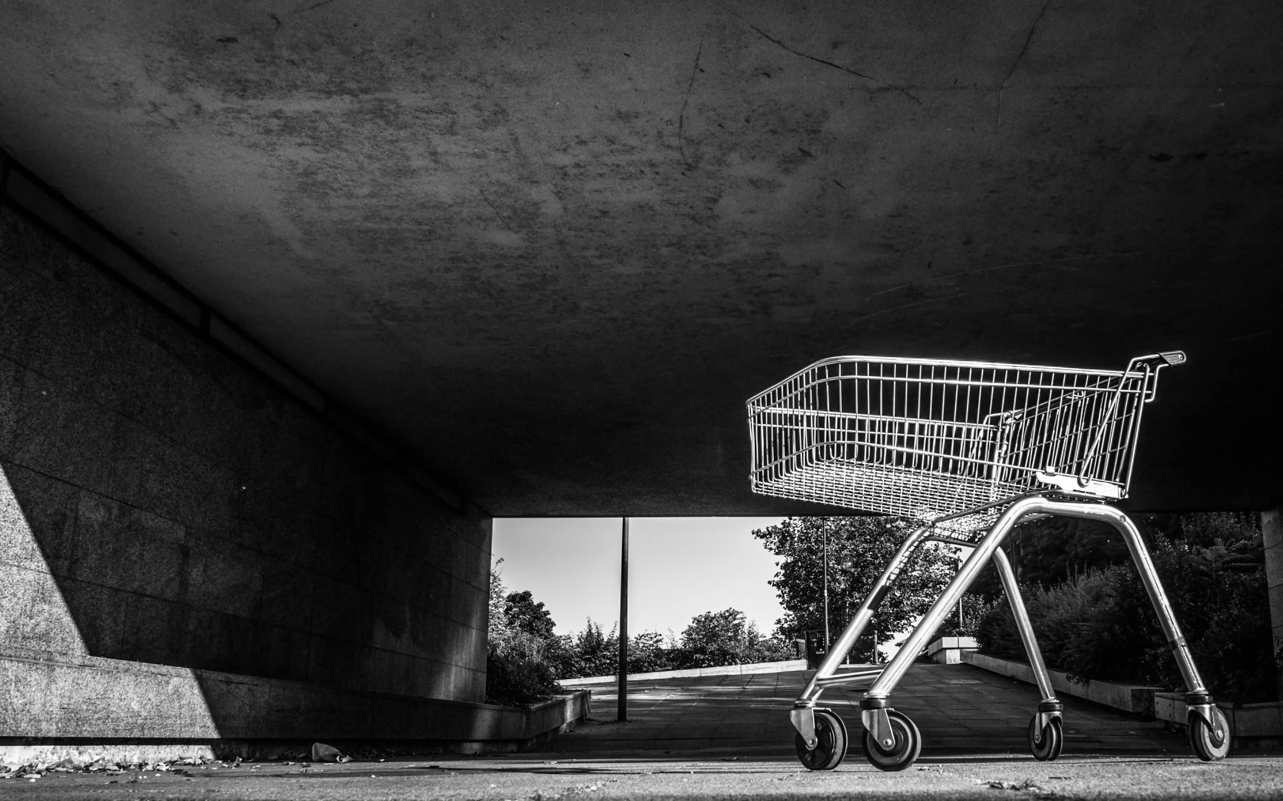 Smart Trolley Recovery
